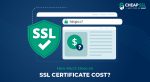How Much Does an SSL Certificate Cost? - CheapSSLShop