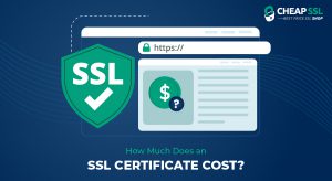 How Much Does an SSL Certificate Cost? - CheapSSLShop