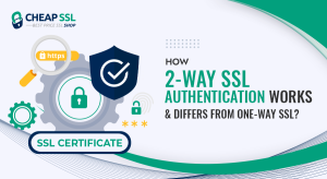 How Does 2-Way SSL Authentication Work?