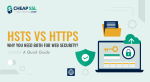 HSTS vs HTTPS: Why You Need Both for Web Security