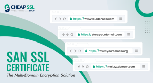 What is a SAN SSL Certificate? | Multi-Domain SSL Guide